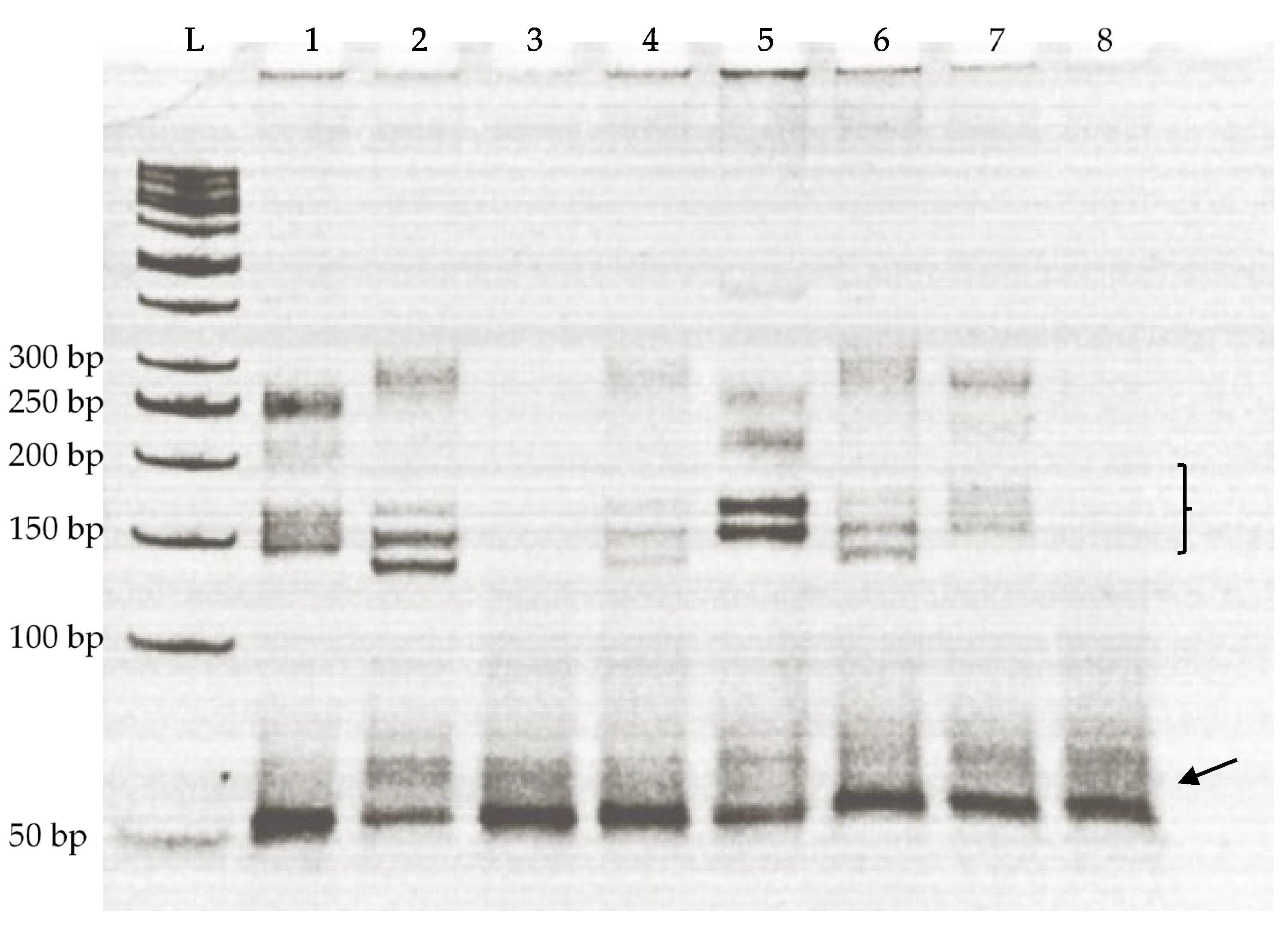 Microsatellite Analysis Revealed Potential DNA Markers for Gestation ...