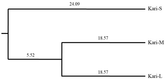 Microsatellite Analysis Revealed Potential DNA Markers for Gestation Length and Sub-Population ...