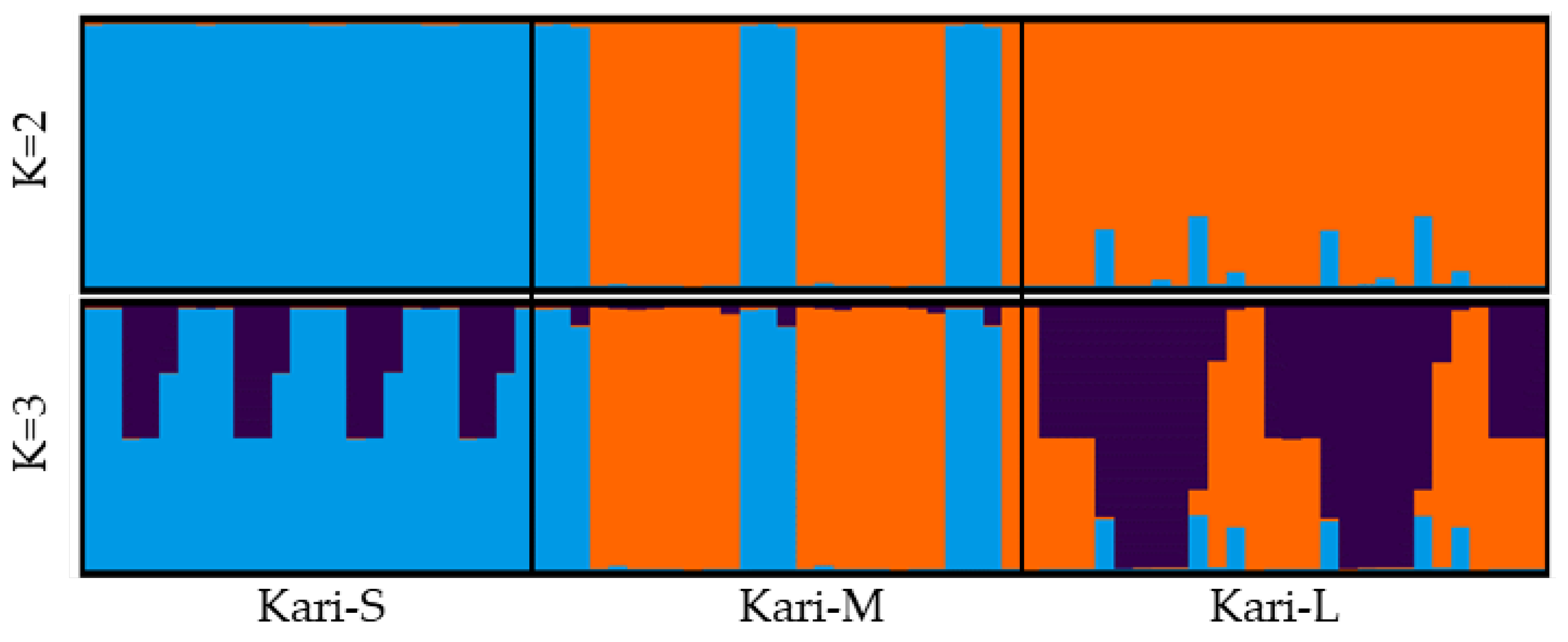 Microsatellite Analysis Revealed Potential DNA Markers for Gestation Length and Sub-Population ...