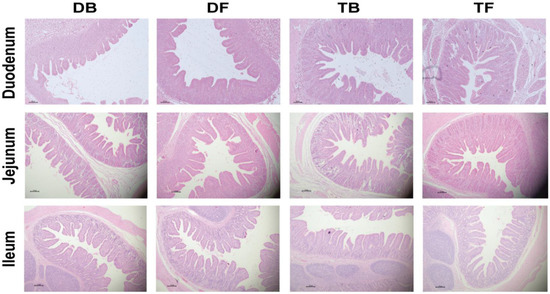 Effects of Dietary Fiber on Growth Performance, Nutrient Digestibility ...