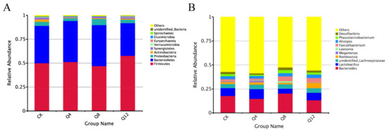Effects of Dietary Quinoa Seeds on Cecal Microorganisms and Muscle ...