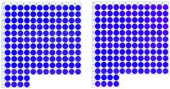 Serological and Molecular Surveillance for SARS-CoV-2 Infection in ...