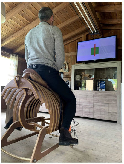 Rider Variables Affecting the Stirrup Directional Force Asymmetry ...