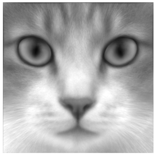 Changes in Cat Facial Morphology Are Related to Interaction with Humans