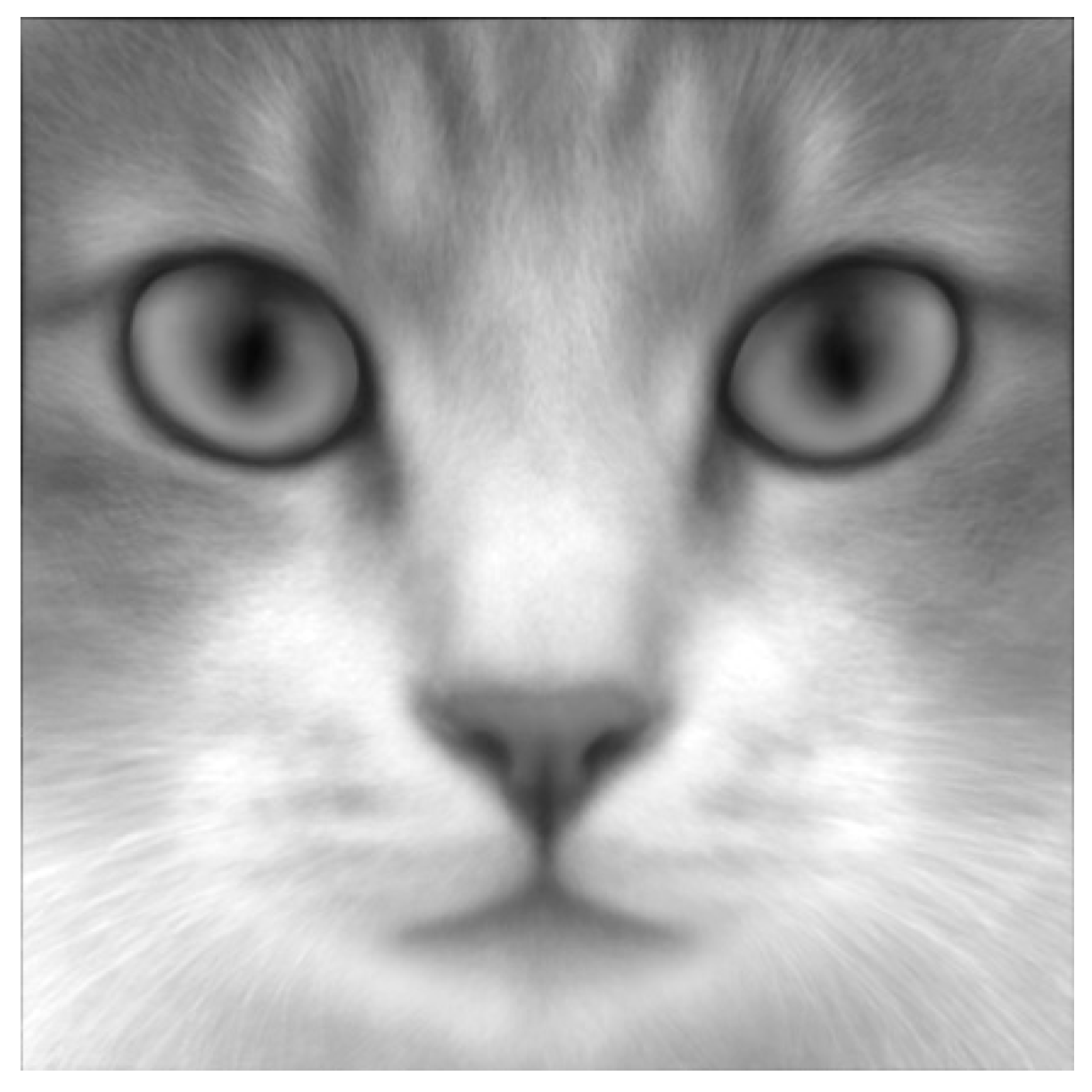 Changes in Cat Facial Morphology Are Related to Interaction with Humans