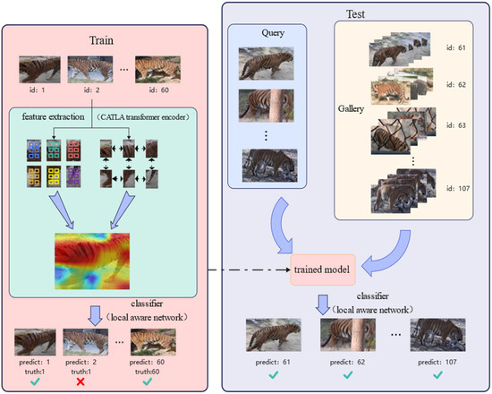 Animals | Free Full-Text | Wild Terrestrial Animal Re-Identification ...