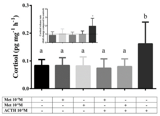 Fish Scales Produce Cortisol upon Stimulation with ACTH