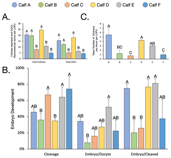 Factors Affecting the Efficiency of In Vitro Embryo Production in ...