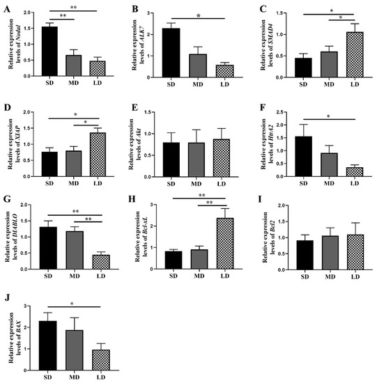 The Photoperiod Regulates Granulosa Cell Apoptosis through the FSH ...