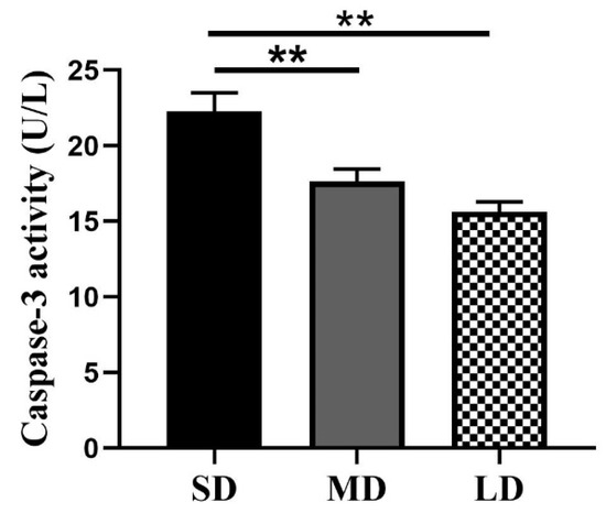 The Photoperiod Regulates Granulosa Cell Apoptosis through the FSH ...