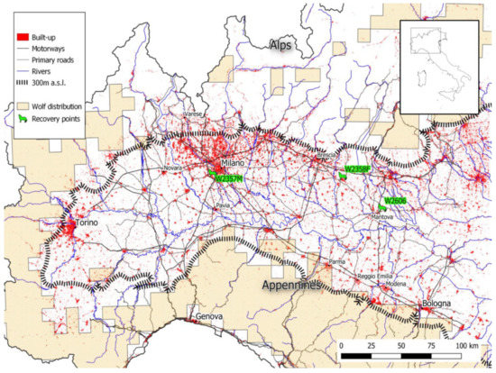 Hide-and-Seek in a Highly Human-Dominated Landscape: Insights into ...