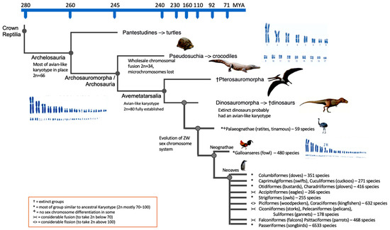 Animals | Free Full-Text | Dinosaurs: Comparative Cytogenomics of Their ...