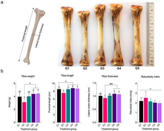 Influence of Dietary Biosynthesized Zinc Oxide Nanoparticles on Broiler ...