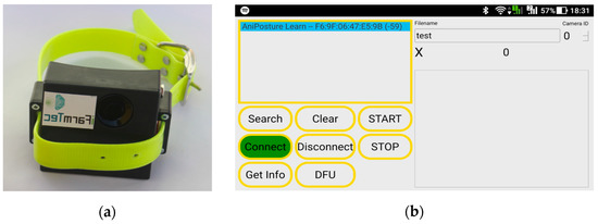 On the Development of a Wearable Animal Monitor