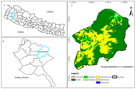 Determinants of Herpetofaunal Diversity in a Threatened Wetland ...