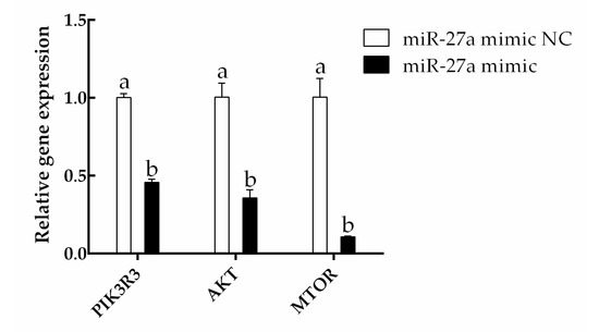 miR-27a Targeting PIK3R3 Regulates the Proliferation and Apoptosis of ...