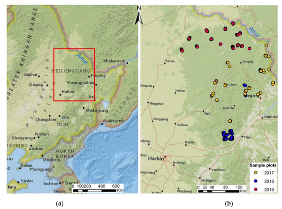 Is the Lesser Khingan Suitable for the Amur Tiger Restoration ...