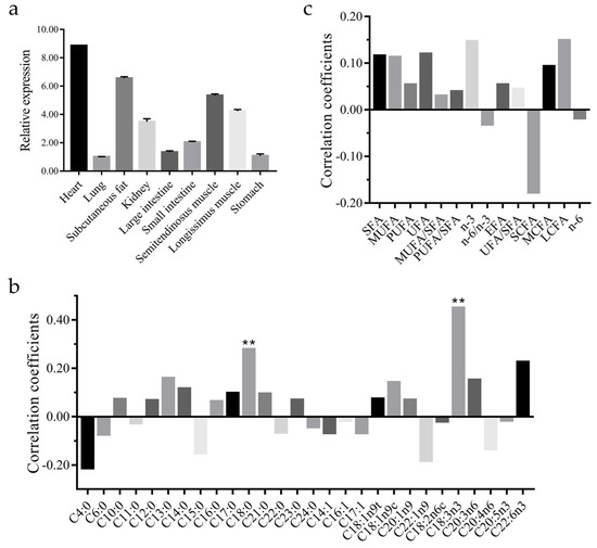Effects of the Expressions and Variants of the CAST Gene on the Fatty ...