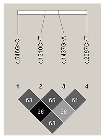Effects of the Expressions and Variants of the CAST Gene on the Fatty ...