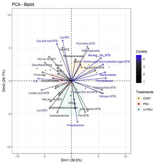 Animals | Free Full-Text | Effect of Post-Ruminal Urea Supply on Growth ...
