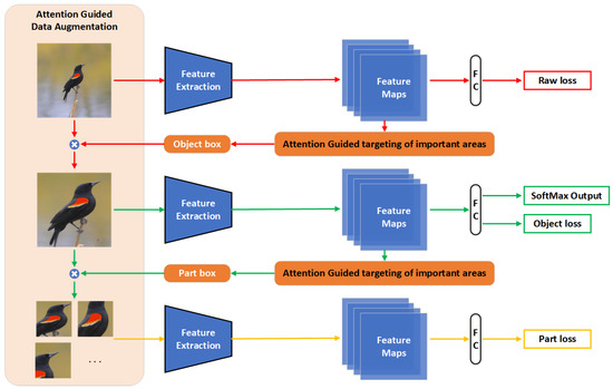 A Fine-Grained Bird Classification Method Based on Attention and ...