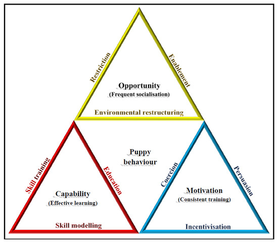 Animals | Free Full-Text | Application of an Adapted Behaviour Change ...