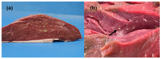 A Case of Bovine Eosinophilic Myositis (BEM) Associated with Co ...