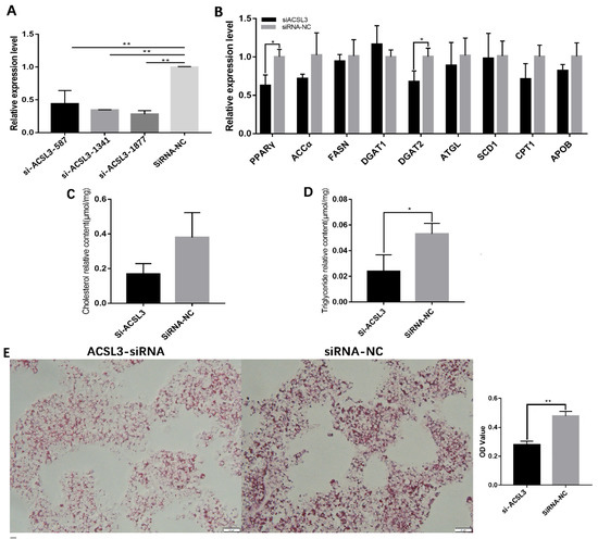 miR-202-5p Inhibits Lipid Metabolism and Steroidogenesis of Goose ...