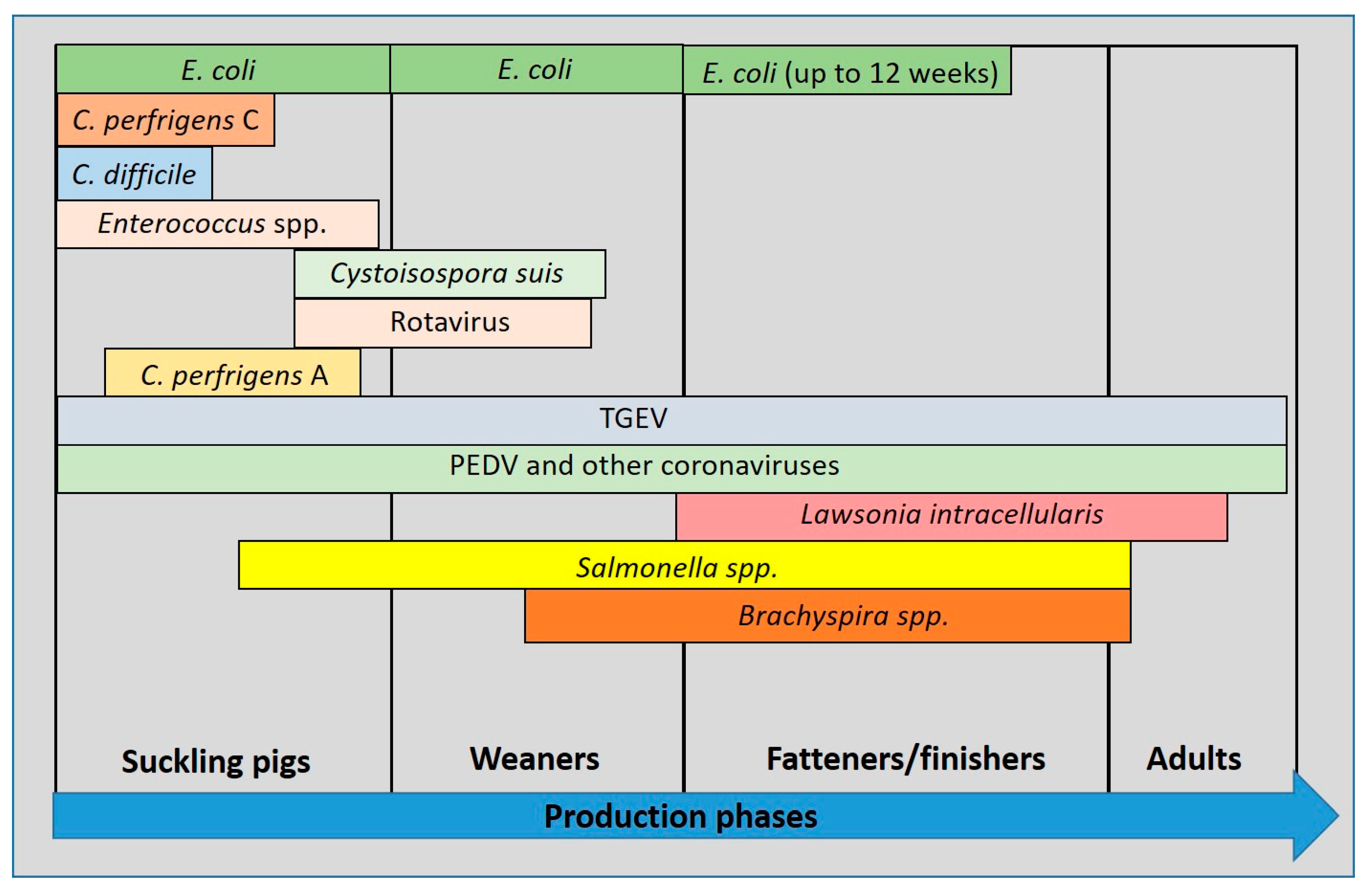 Diagnostic Approach to Enteric Disorders in Pigs