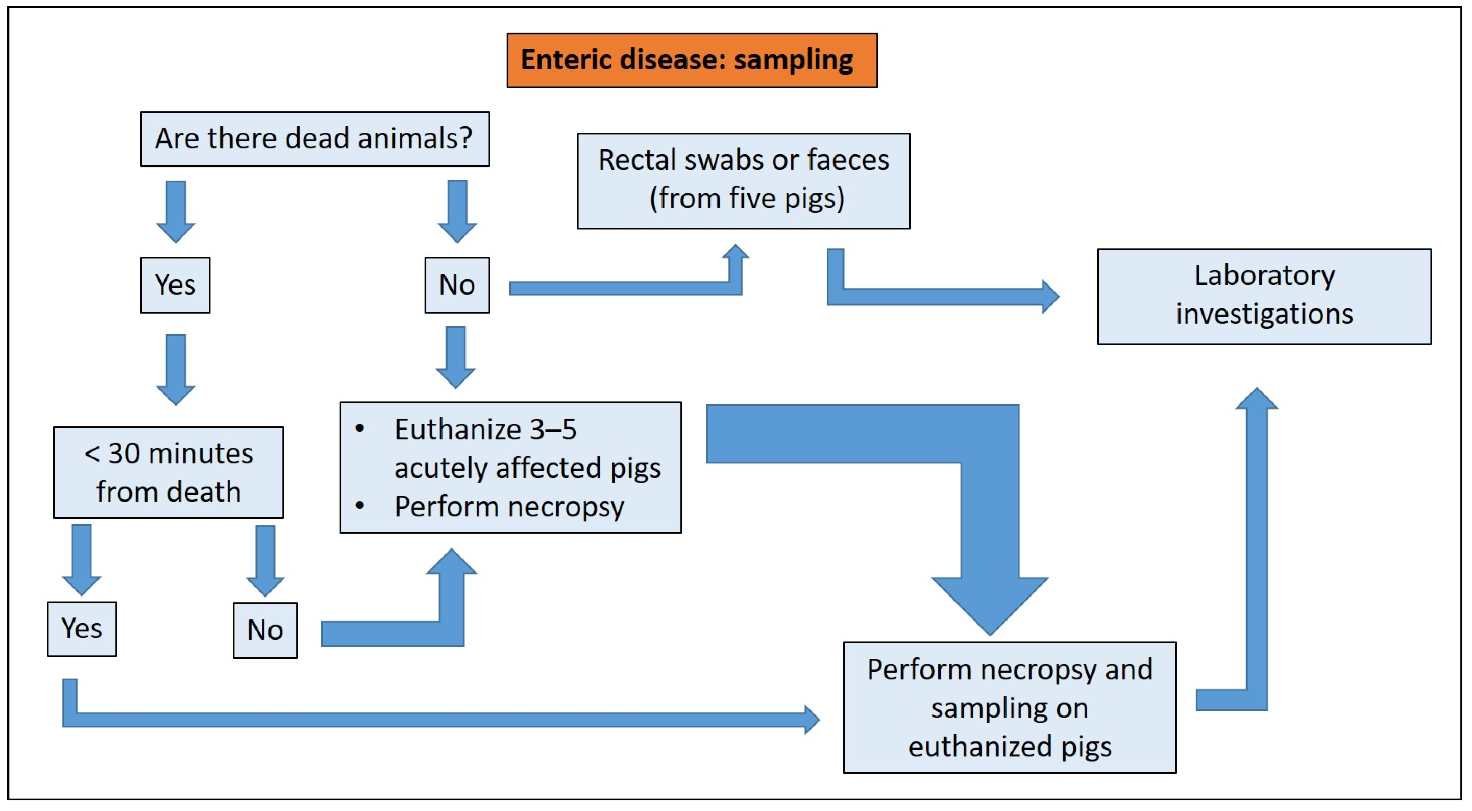 Diagnostic Approach to Enteric Disorders in Pigs