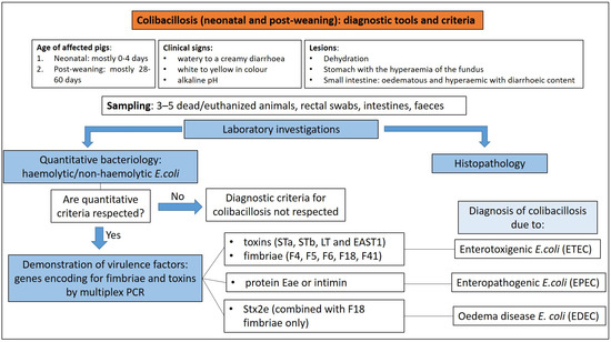 Diagnostic Approach to Enteric Disorders in Pigs