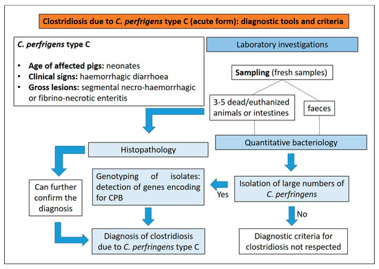 Diagnostic Approach to Enteric Disorders in Pigs