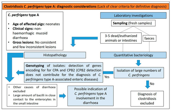 Diagnostic Approach to Enteric Disorders in Pigs