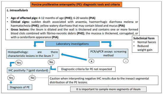 Diagnostic Approach to Enteric Disorders in Pigs