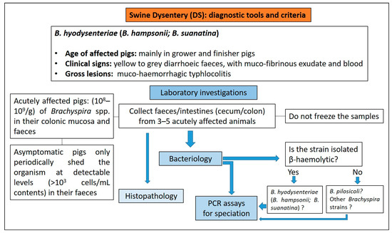 Diagnostic Approach to Enteric Disorders in Pigs