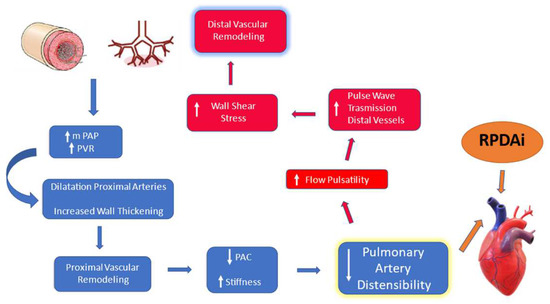 Right Pulmonary Artery Distensibility Index in Heartworm Infected Dogs ...