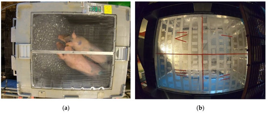 Social Support in a Novel Situation Aimed for Stunning and Euthanasia ...