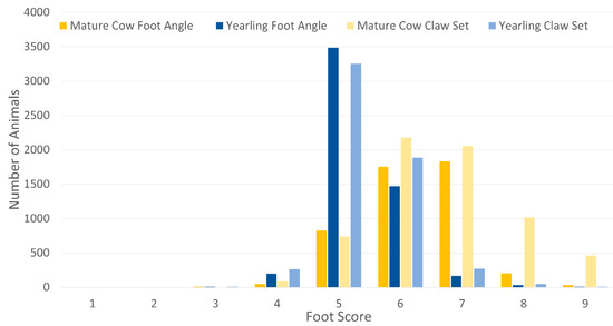 Importance of Foot and Leg Structure for Beef Cattle in Forage-Based ...