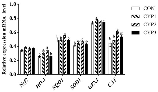 Effects of Dietary Supplementation of Chinese Yam Polysaccharide on ...