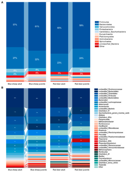 Growth Stages and Inter-Species Gut Microbiota Composition and Function ...
