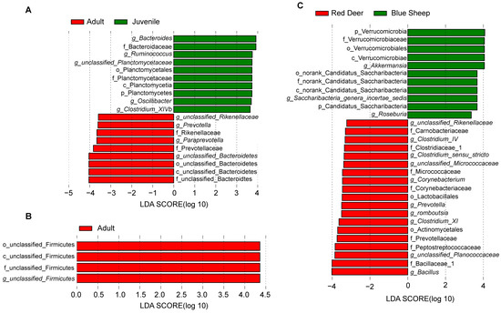 Growth Stages and Inter-Species Gut Microbiota Composition and Function ...