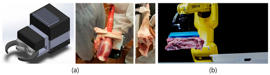 Animals | Free Full-Text | Robot Technology for Pork and Beef Meat ...