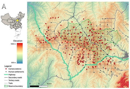 Temporal Response of Mesocarnivores to Human Activity and ...