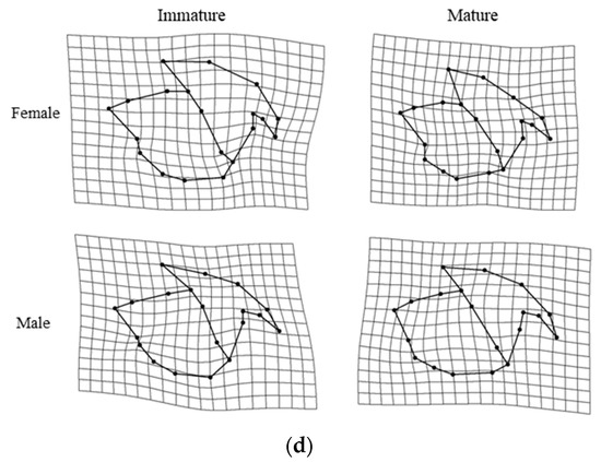 Ontogenetic Variation and Sexual Dimorphism of Beaks among Four ...