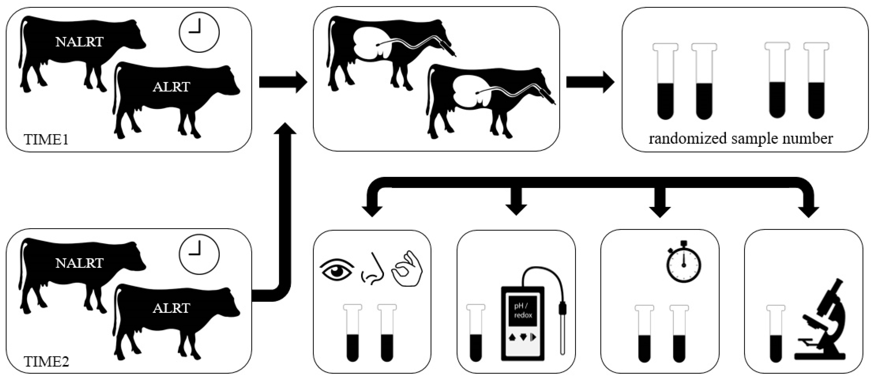Association between Rumination Times Detected by an Ear Tag-Based ...