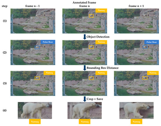 PolarBearVidID: A Video-Based Re-Identification Benchmark Dataset for ...