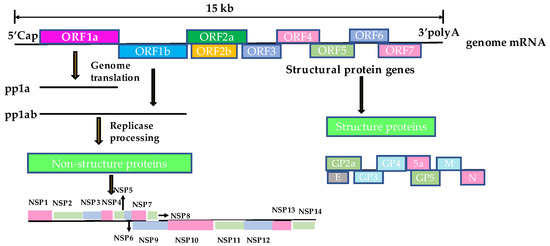 Research Progress on Glycoprotein 5 of Porcine Reproductive and ...