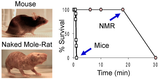 Animals | Free Full-Text | Naked Mole-Rats Demonstrate Profound ...
