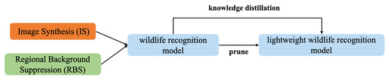 A Lightweight Automatic Wildlife Recognition Model Design Method ...