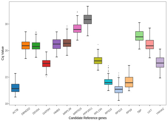 Transcriptome-Based Evaluation of Optimal Reference Genes for Quantitative Real-Time PCR in Yak ...